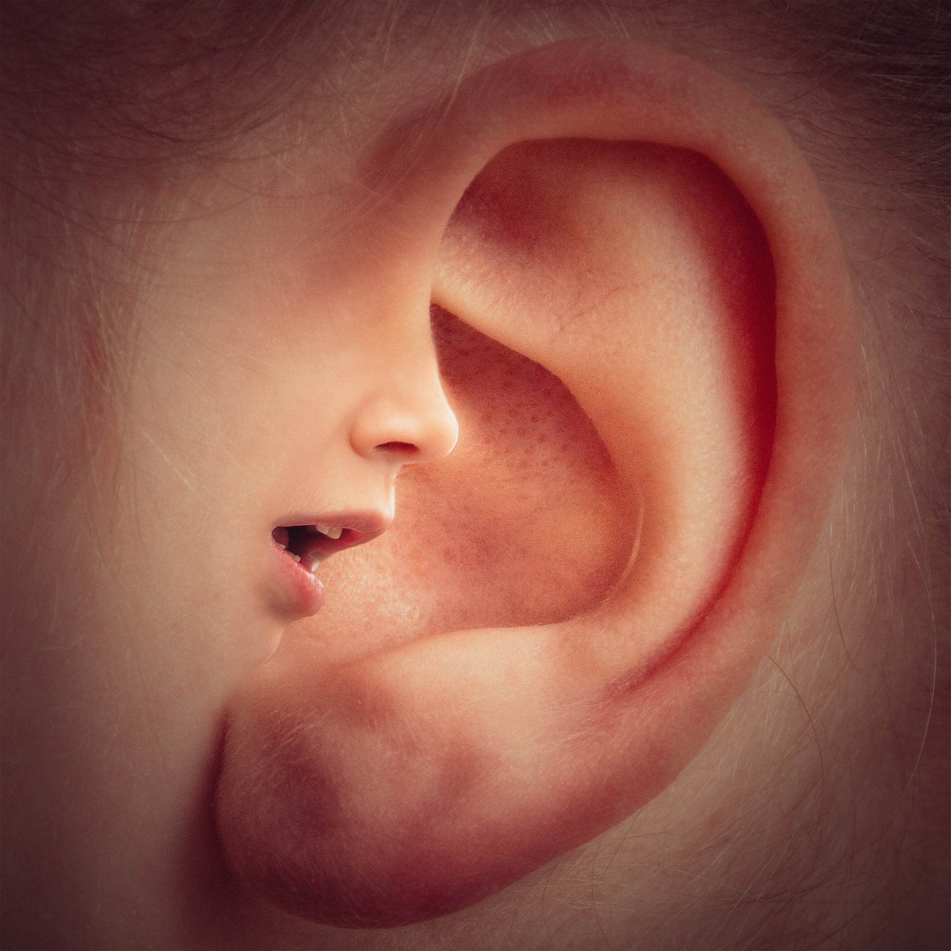 How to self-assess hearing loss? - Living Herself